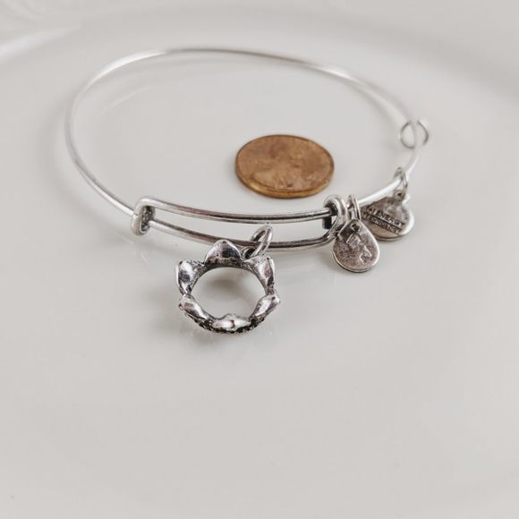 Alex and Ani | Jewelry | Alex Andani Rafaelian Silver Queen Crown Bracelet | Poshmark